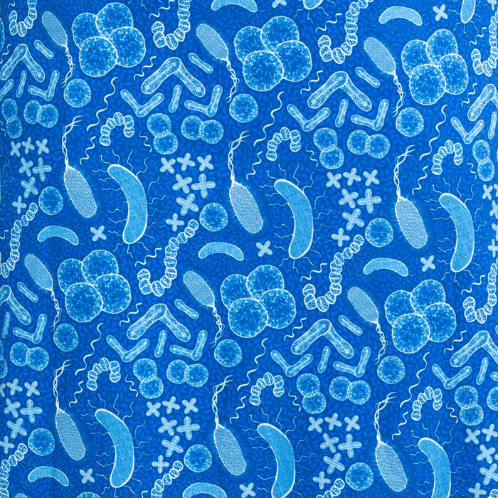 Paisley Bacteria Sleeveless Twirl Dress Svaha USA